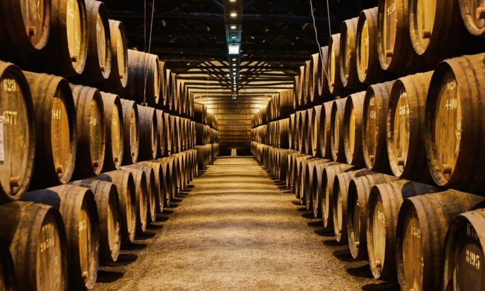 From Vineyard to Glass: The Rich Heritage of Douro Valley Port Wine ...