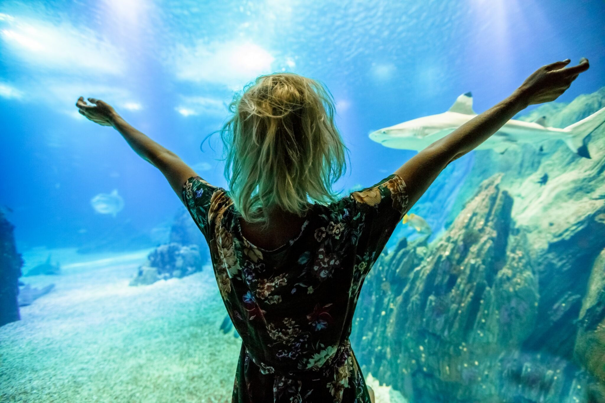 Lisbon Oceanarium: A Deep Dive into the Underwater World - The Lisbon ...