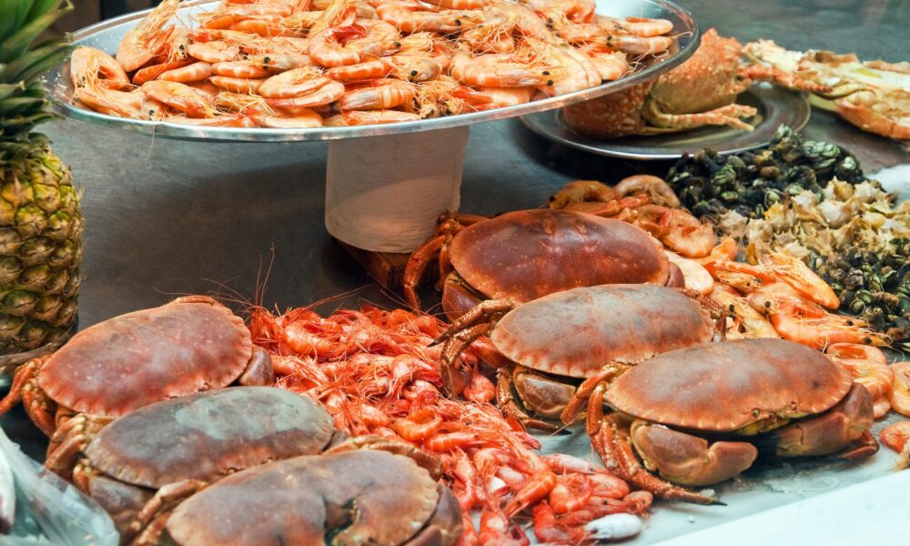 Catch the Wave of Flavor: Portugal's Finest Fish Feasts! - The Lisbon ...