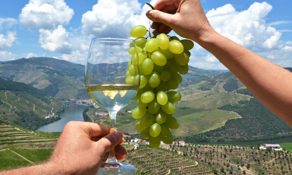 Exploring Vinho Verde: Portugal's Unique Green Wine - The Lisbon Guide ...
