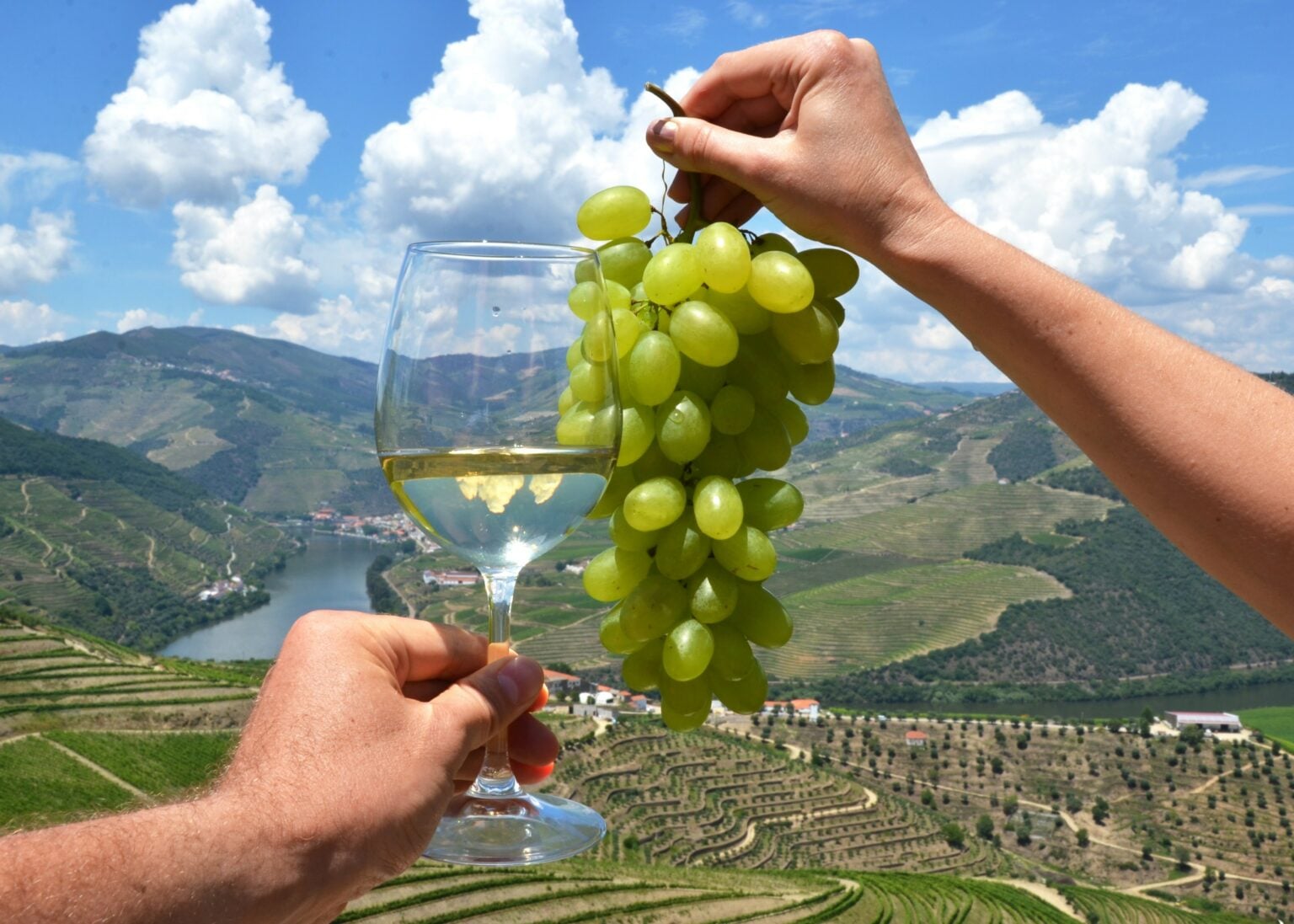 Exploring Vinho Verde: Portugal's Unique Green Wine - The Lisbon Guide ...