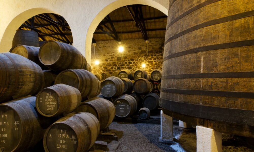 Sip and Savor: 6 Must-Visit Wineries Near Lisbon - The Lisbon Guide ...
