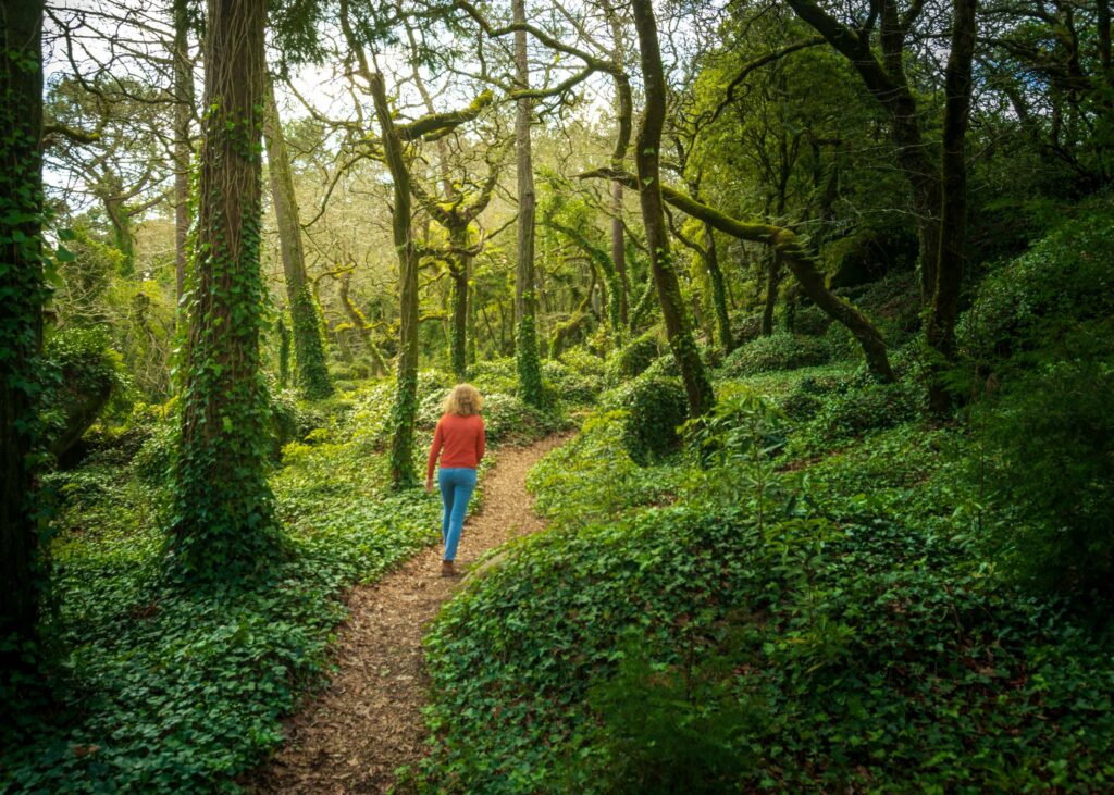 Exploring Sintra Forest: Must-See Sights and Hidden Gems - The Lisbon ...